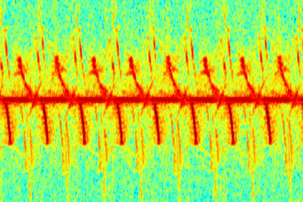 Examples – RadarSimX